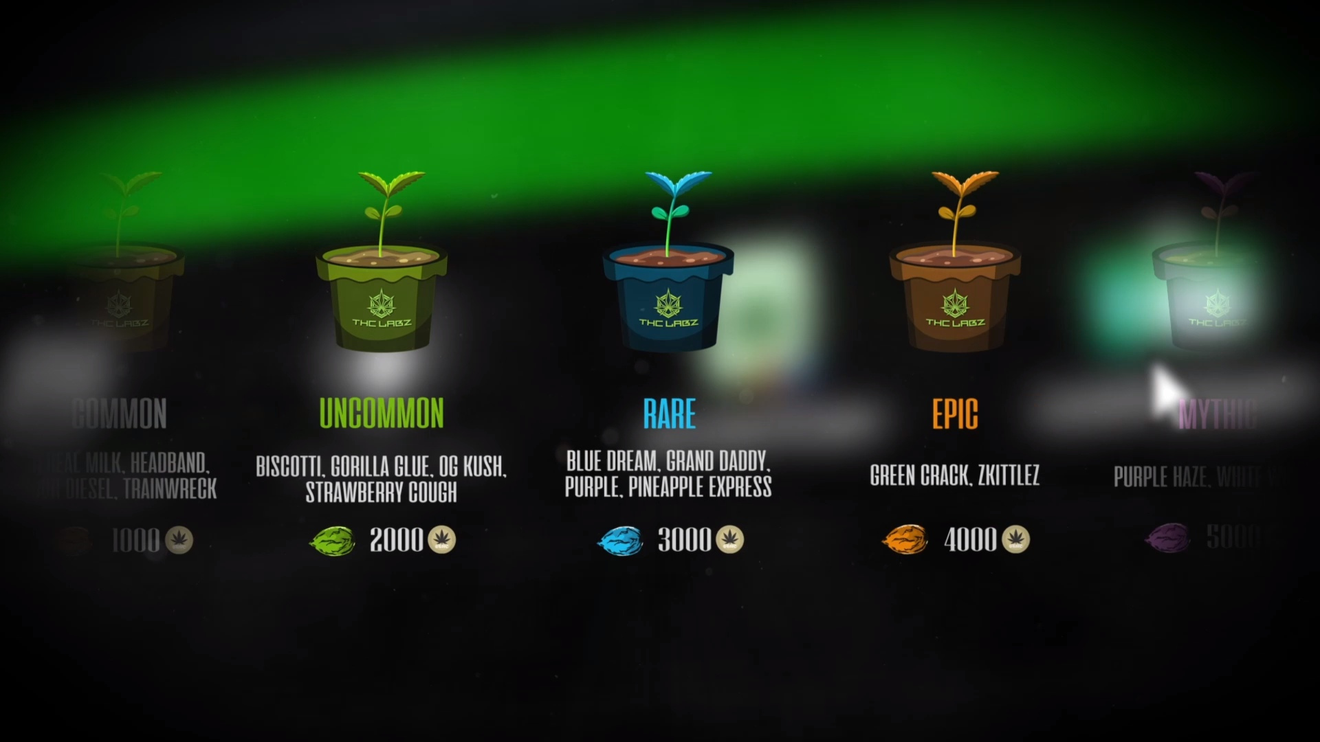 THC ᴸᵃᵇᶻ Allowlists · Subber